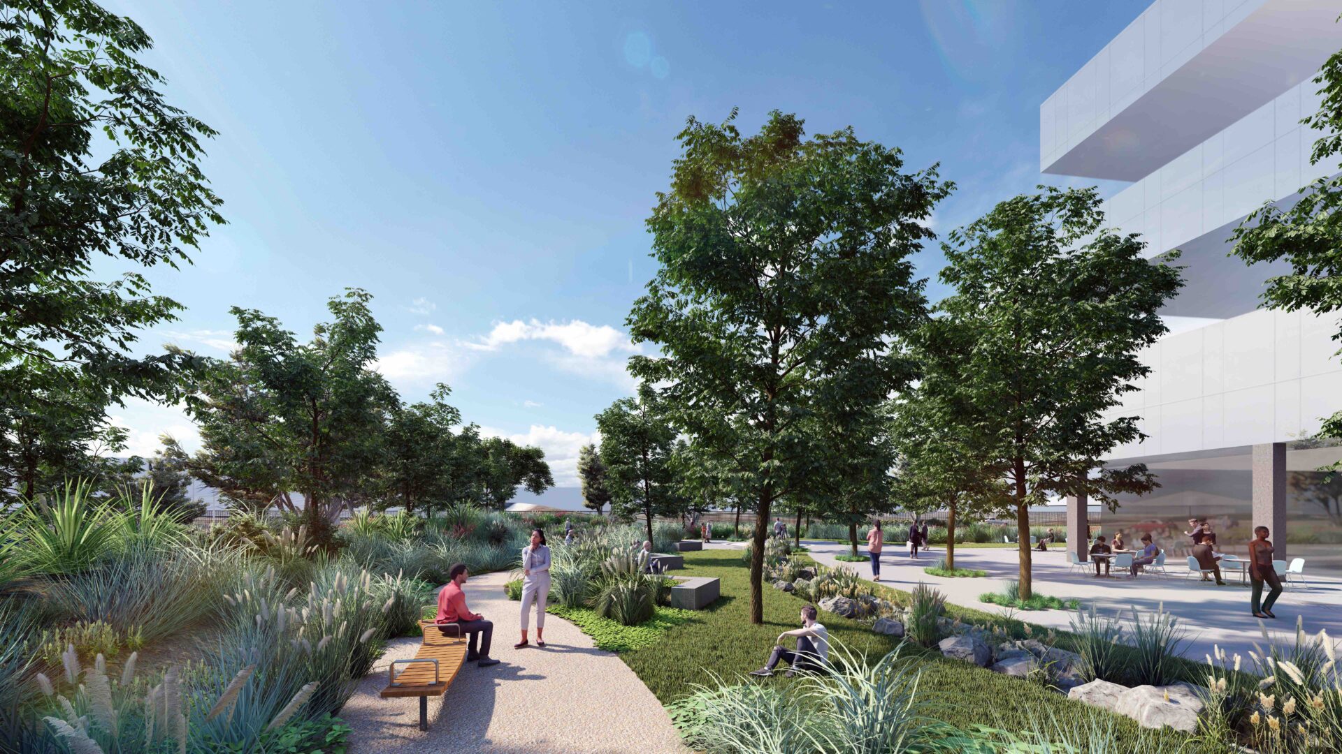 CSL Banksia Development Project - NewScape Design